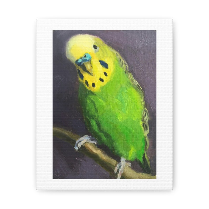 Fine Art Green Parakeet Print on Stretched Canvasready to Hang Wall ...