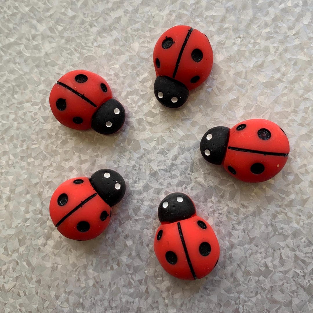Ladybug Fridge Magnets | 5 Pieces | Colorful Refrigerator Magnet Set ...
