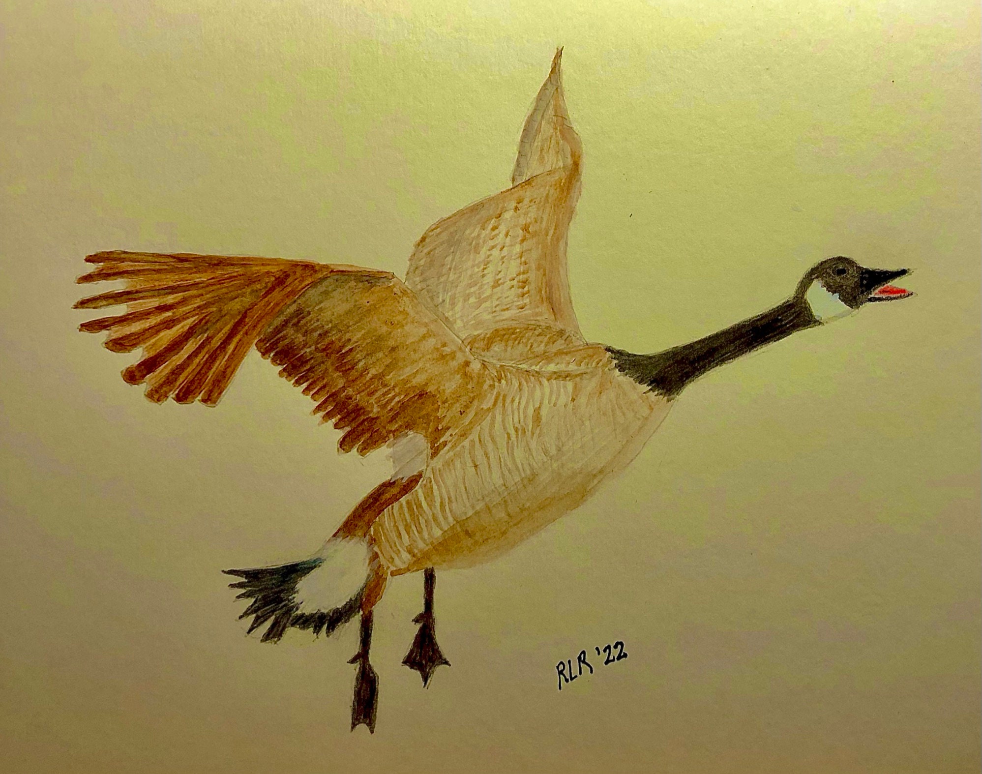 Canada Goose Watercolor Print - Etsy