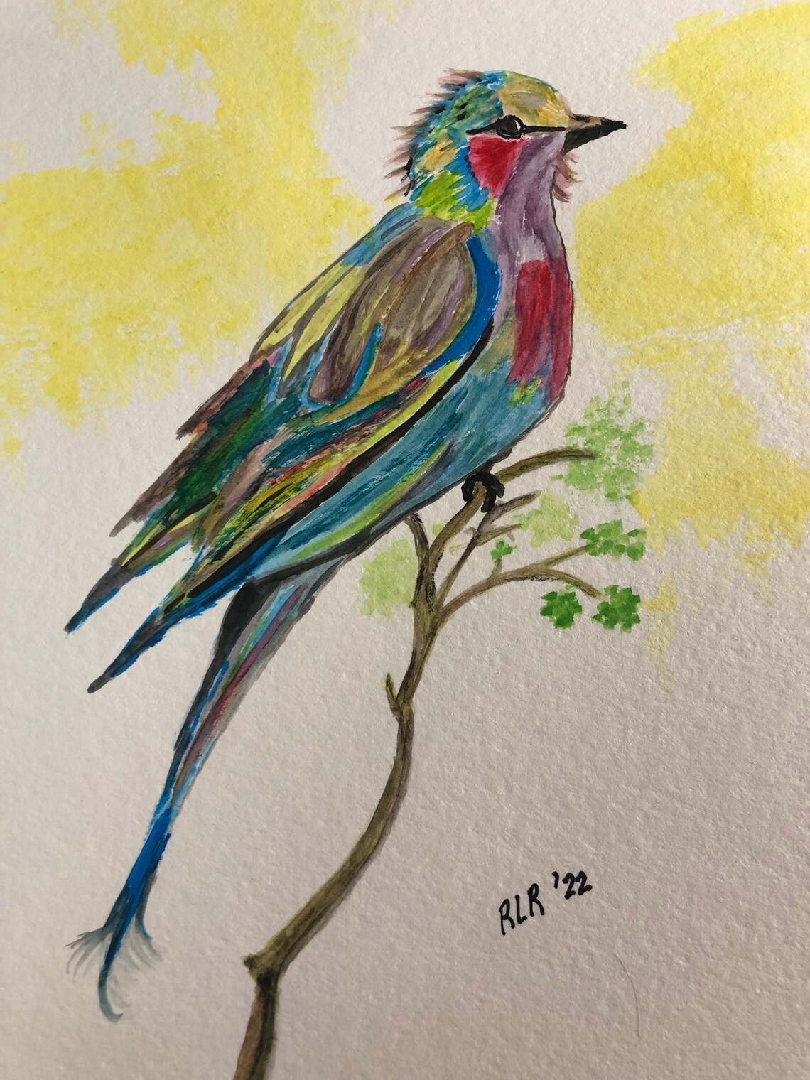 Palette Bird - Etsy