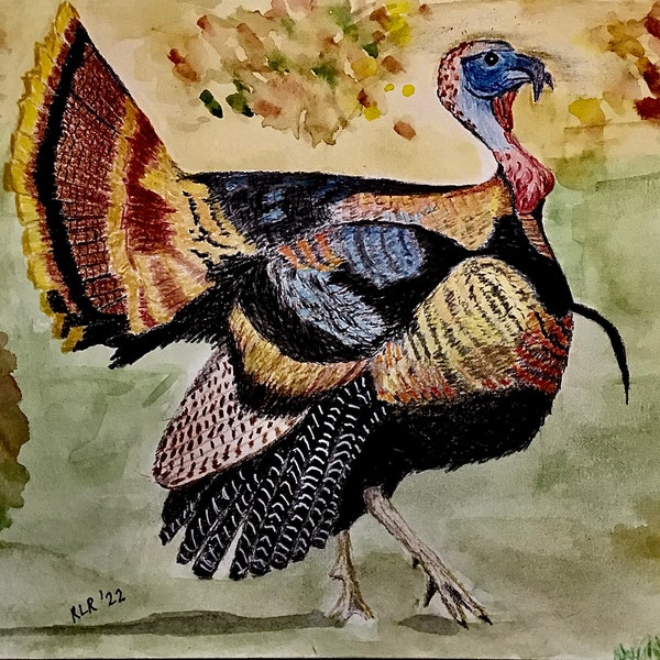 Turkey Watercolor - Etsy