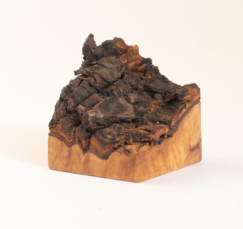 Miniature Plinth Base Olivewood Textured 50x50x55mm for Dungeon ...