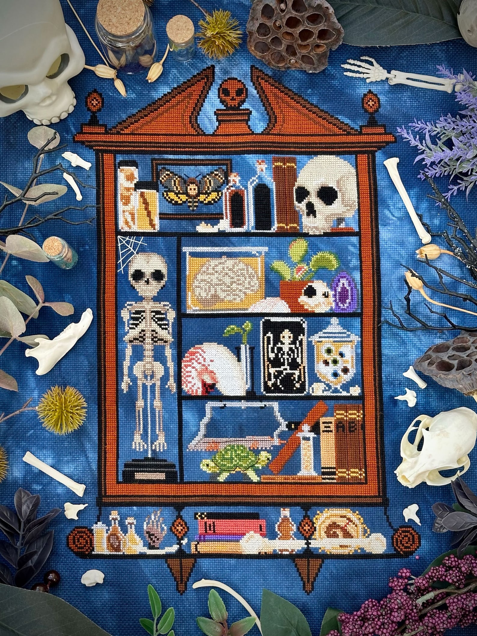 Morbid Curiosities SAL Cabinet of Curiosities Stitch-a-long Cross ...