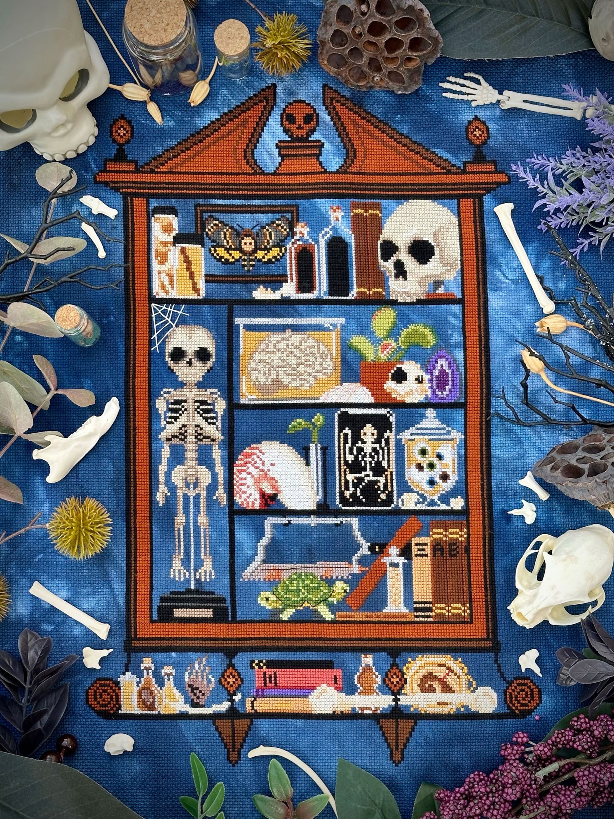 Morbid Curiosities SAL Cabinet of Curiosities Stitch-a-long Cross ...