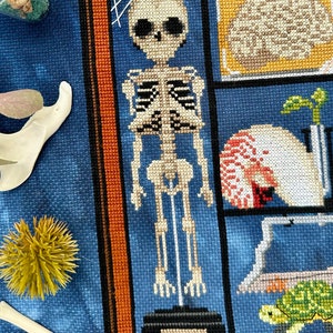 Morbid Curiosities SAL Cabinet of Curiosities Stitch-a-long Cross ...