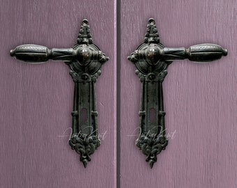 Rococo Style Door Handles - Etsy