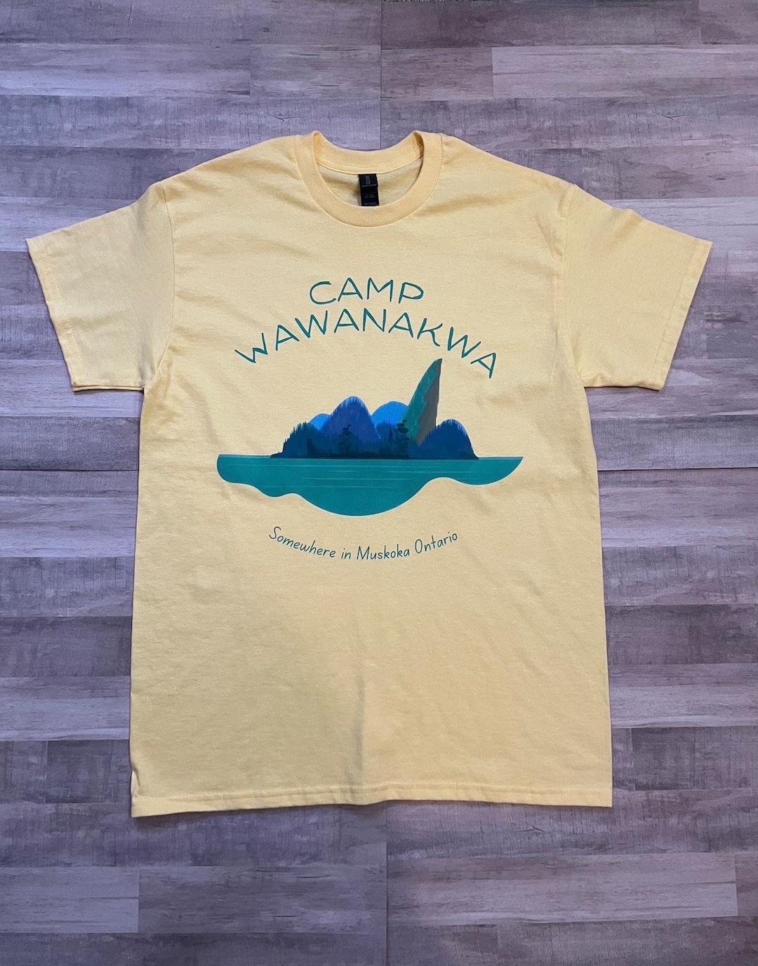 Camp Wawanakwa Tshirt, Shirt, Tee, Total, Drama, Island, 90s Kid, 2000s ...