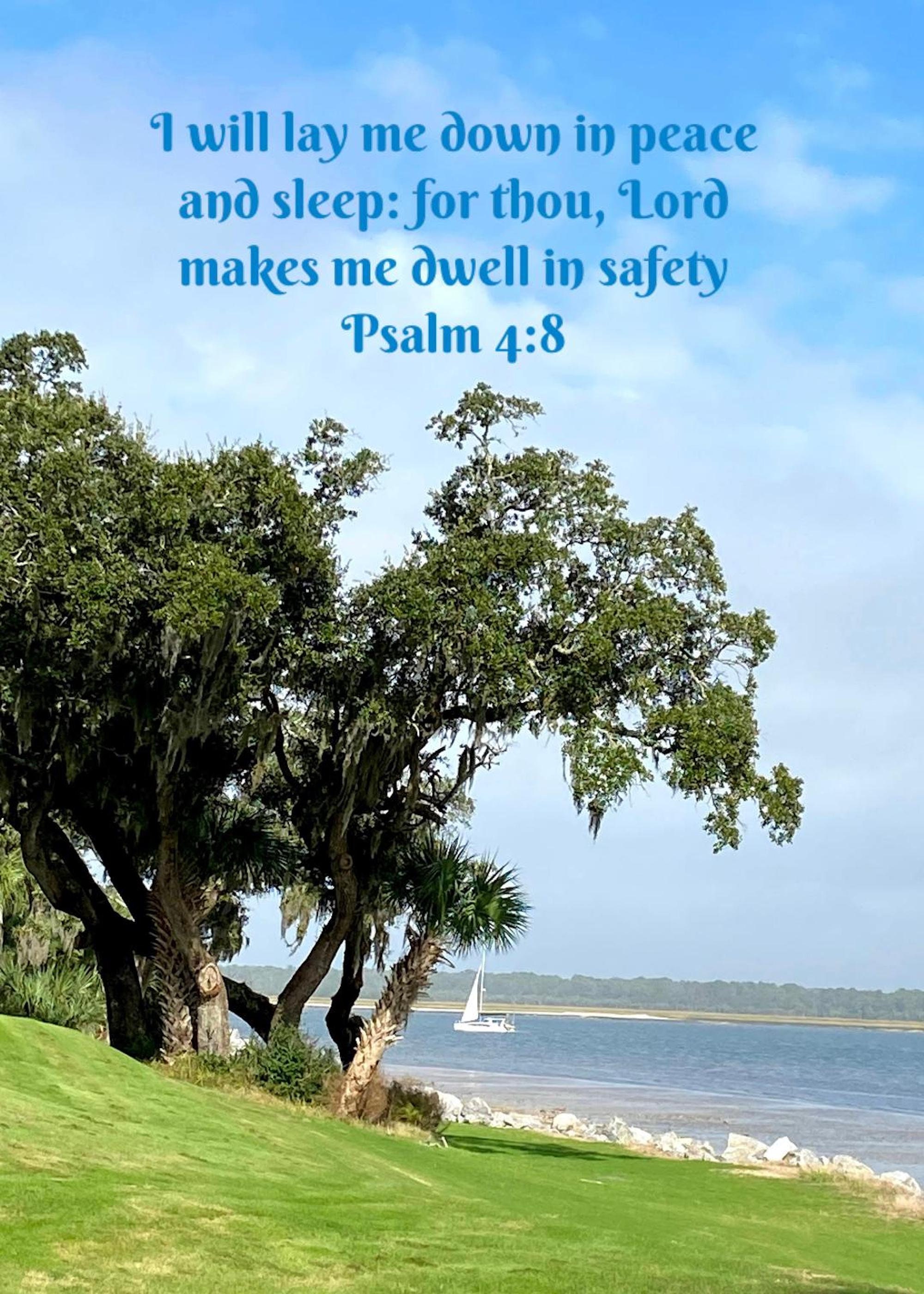 Inspirational Picture Featuring Psalm 4:8 Picture Was Taken at Haig ...