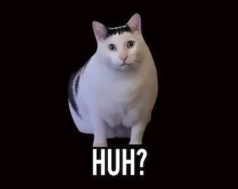 Huh Cat Meme T-shirt ,funny Cat Meme Shirt , Gift for Cat Lovers T ...