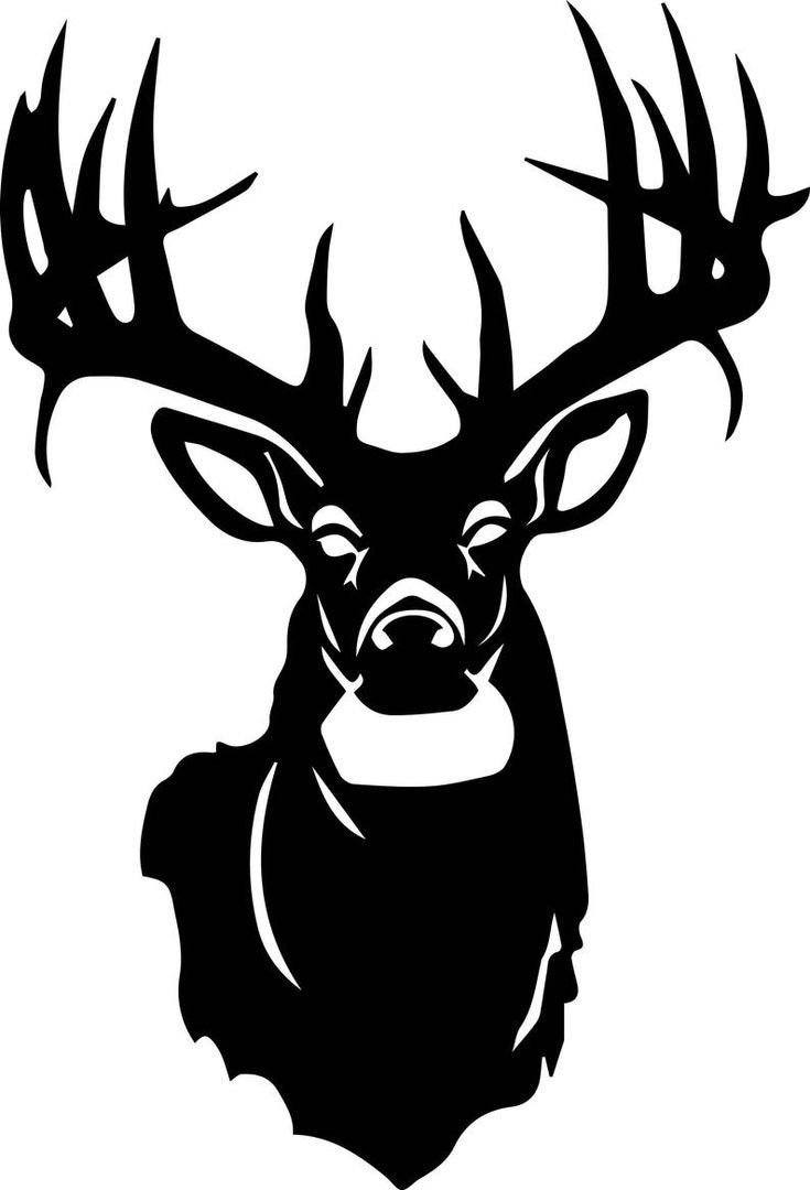Whitetail Buck Outline
