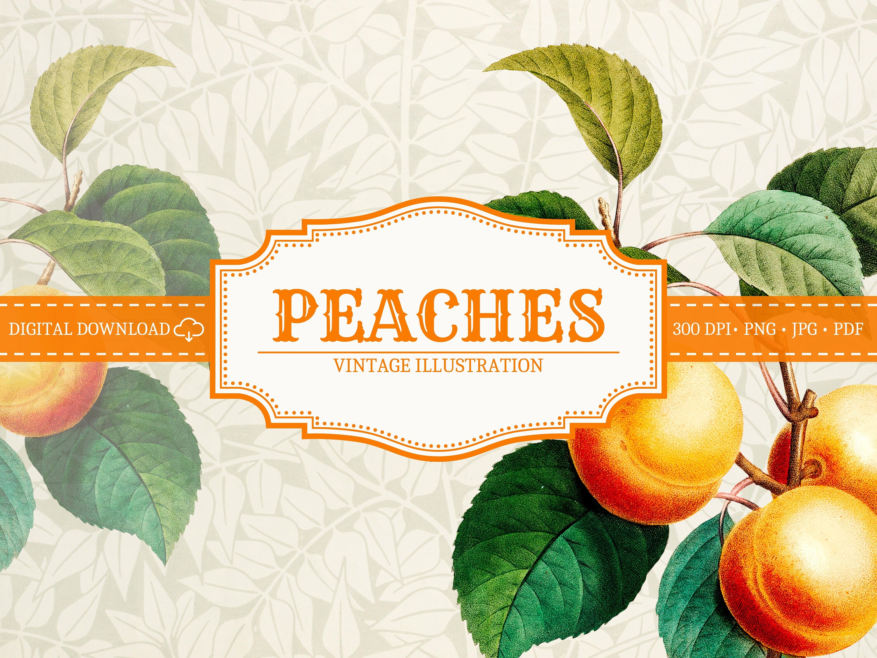 Vintage Peach Clip Art
