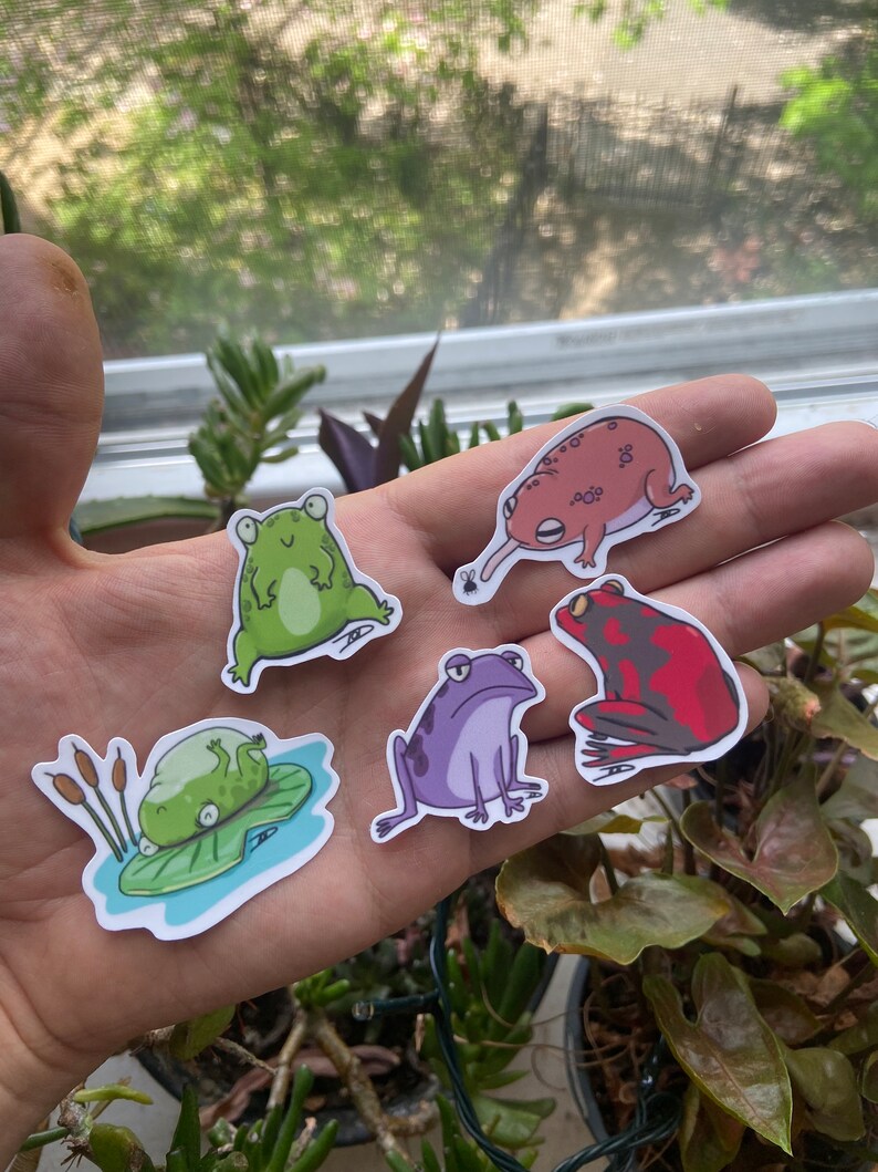 Frogs and Toads Stickers Bundle, 22 Waterproof Stickers, Homemade - Etsy