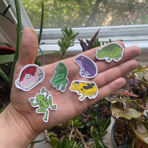 Frogs and Toads Stickers Bundle, 22 Waterproof Stickers, Homemade - Etsy