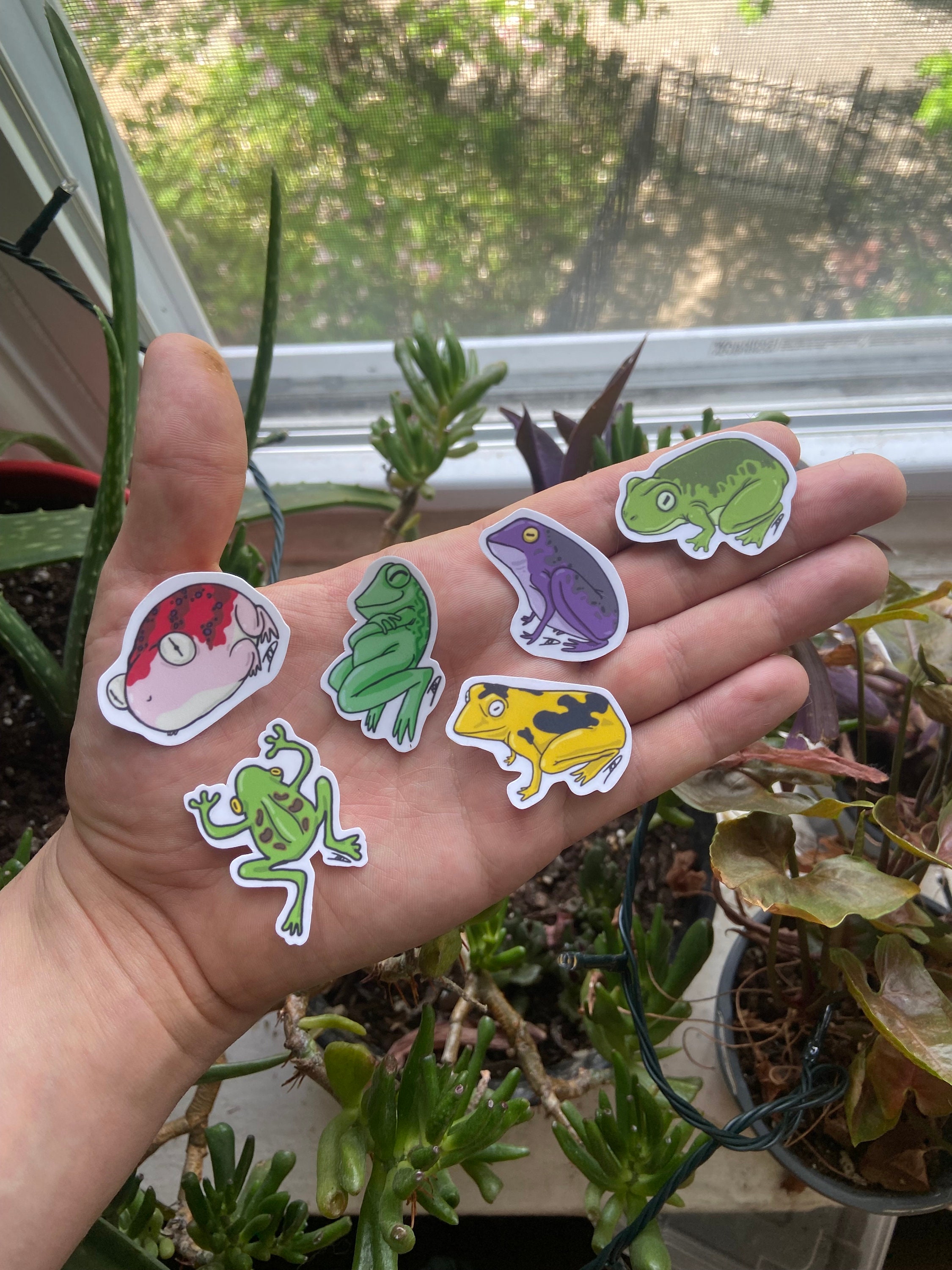 Frogs and Toads Stickers Bundle, 22 Waterproof Stickers, Homemade - Etsy