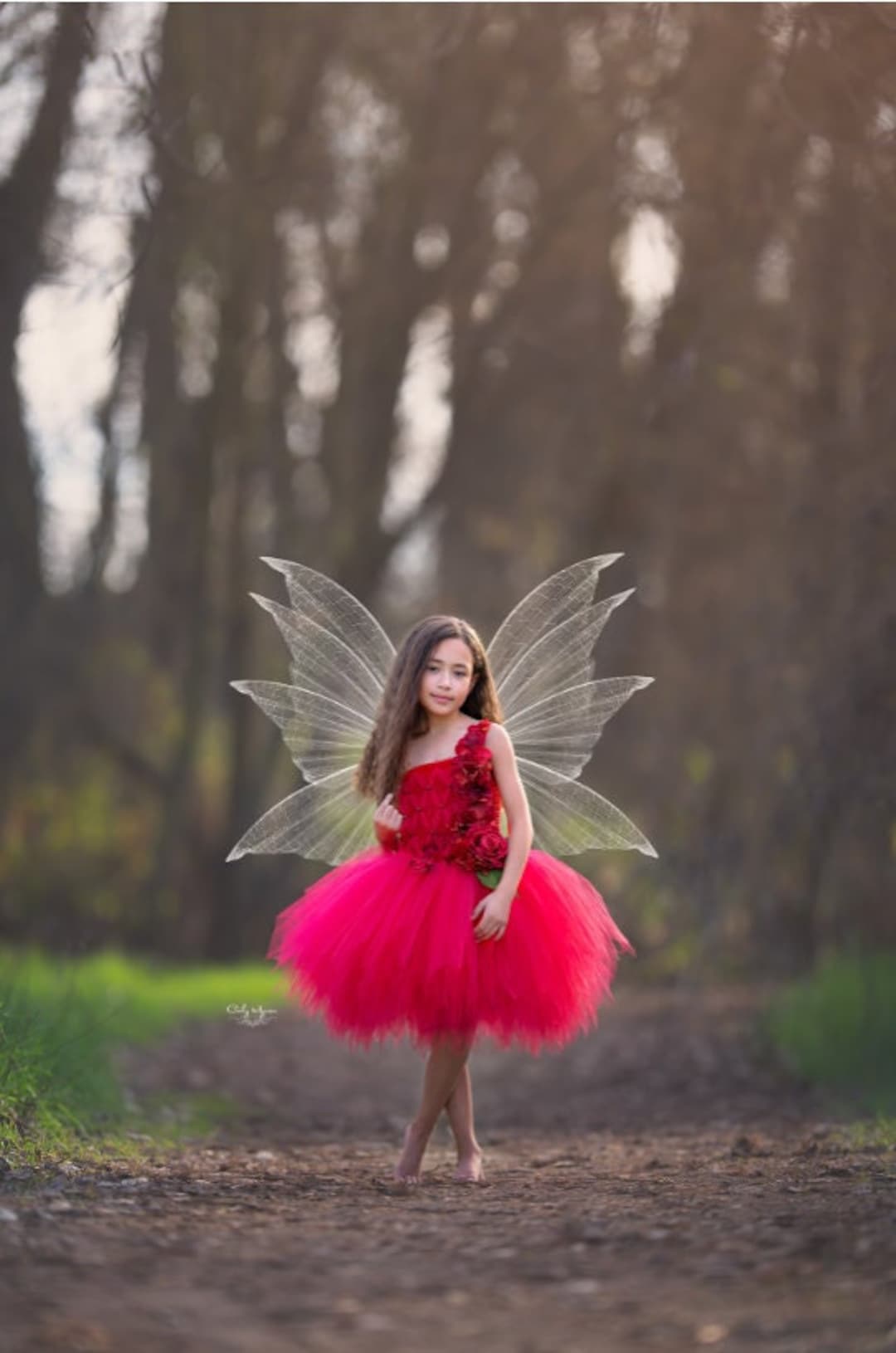 Red Tutu Dress, Fairy Tutu Dress, Tutu Dress, Fairy Dress, Fairy ...