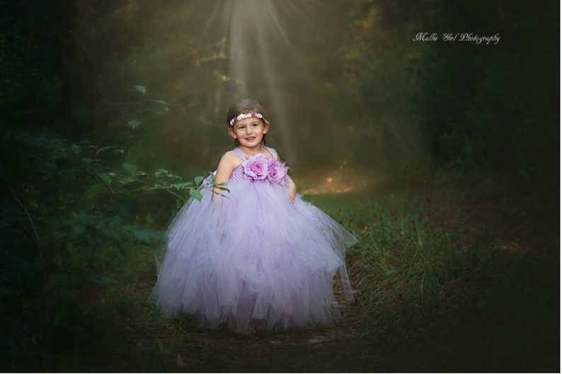 Lavender Tutu Dress Flower Girl Jr Bridesmaid Birthday Etsy