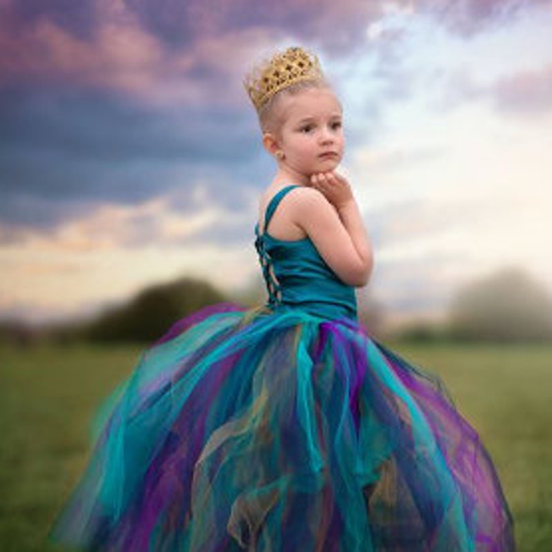 Peacock Tutu Dress - Etsy