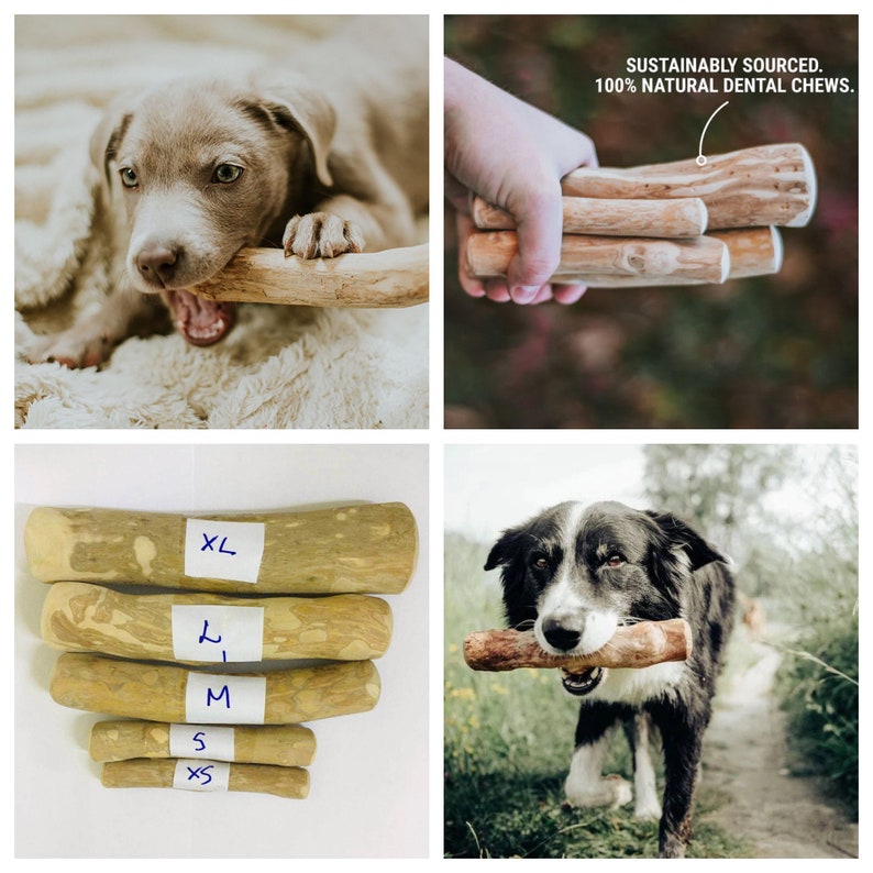 Coffee Wood Dog Chew Vegan Natural Bone Stick Dental Care Training ...