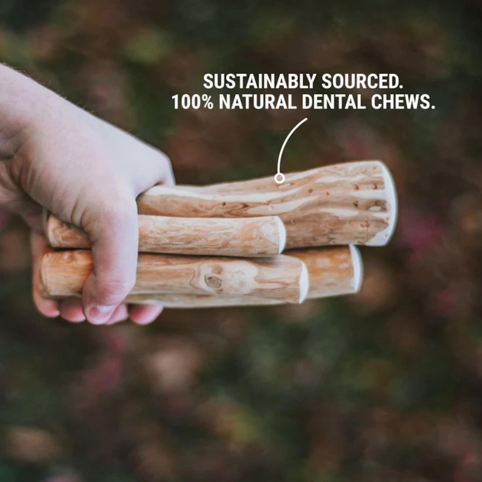Coffee Wood Dog Chew Vegan Natural Bone Stick Dental Care Training ...