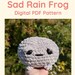 Sad Grumpy Rain Frog Crochet Amigurumi Pattern Pdf File // NOT - Etsy