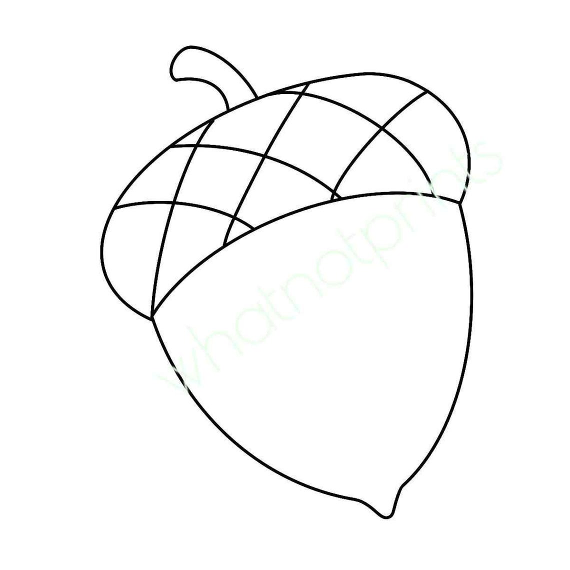 Acorn Outline Clipart: Stencil, Template, Silhouette (PNG Digital ...