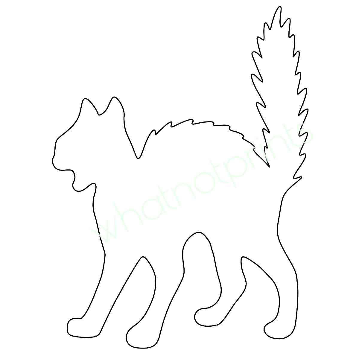 Outline Scared Cat PNG Clipart - Etsy