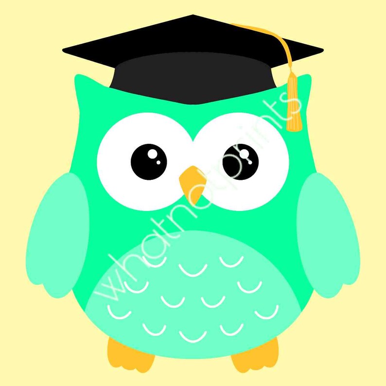 Commercial Owl in Graduation Cap Clipart PNG Transparent Background ...