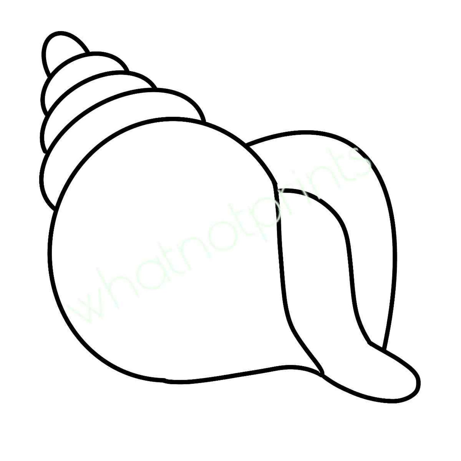 Commercial Sea Shell Outline, Template, Stencil or Pattern PNG & SVG ...
