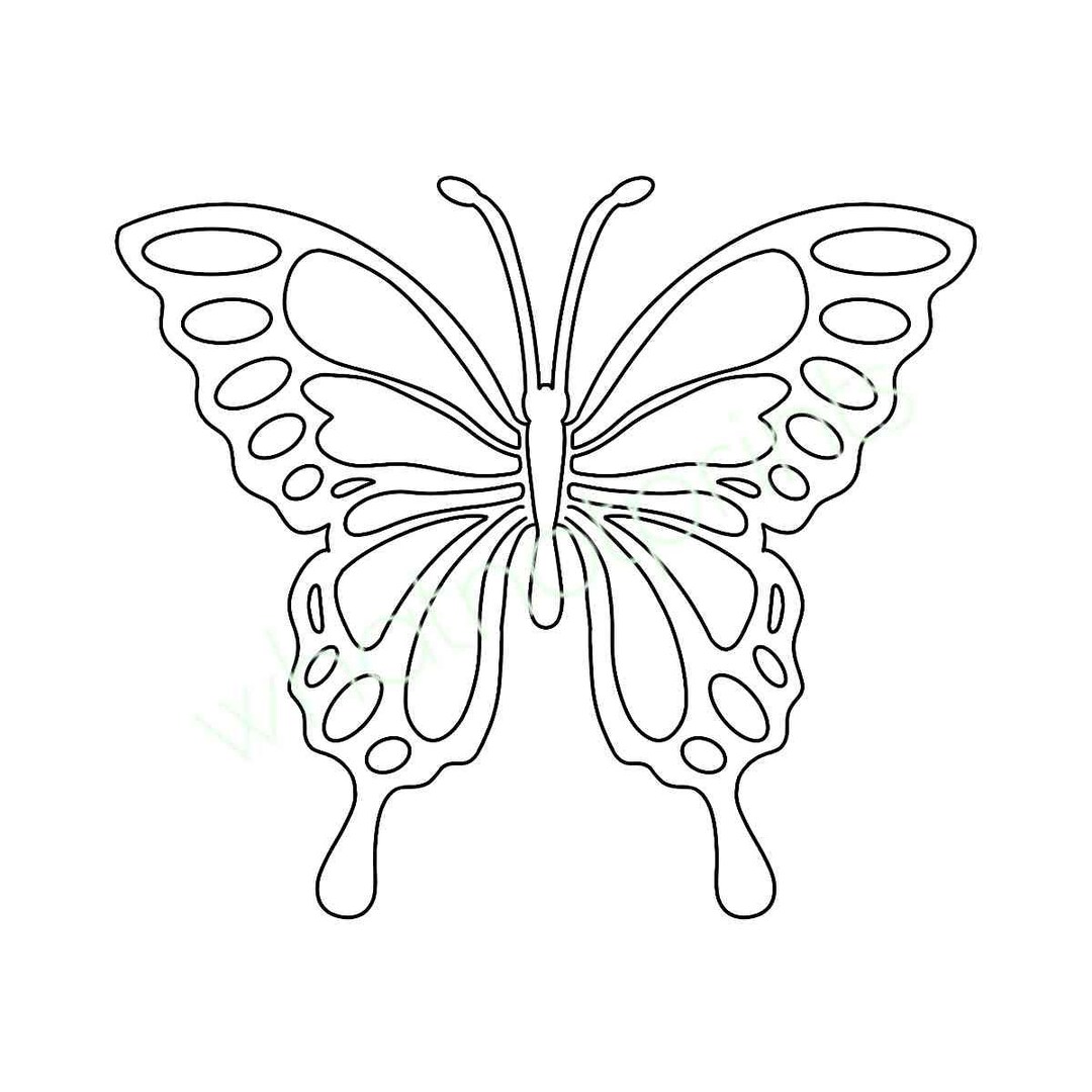 Commercial Butterfly Outline, Stencil, Template, Coloring Page PNG ...