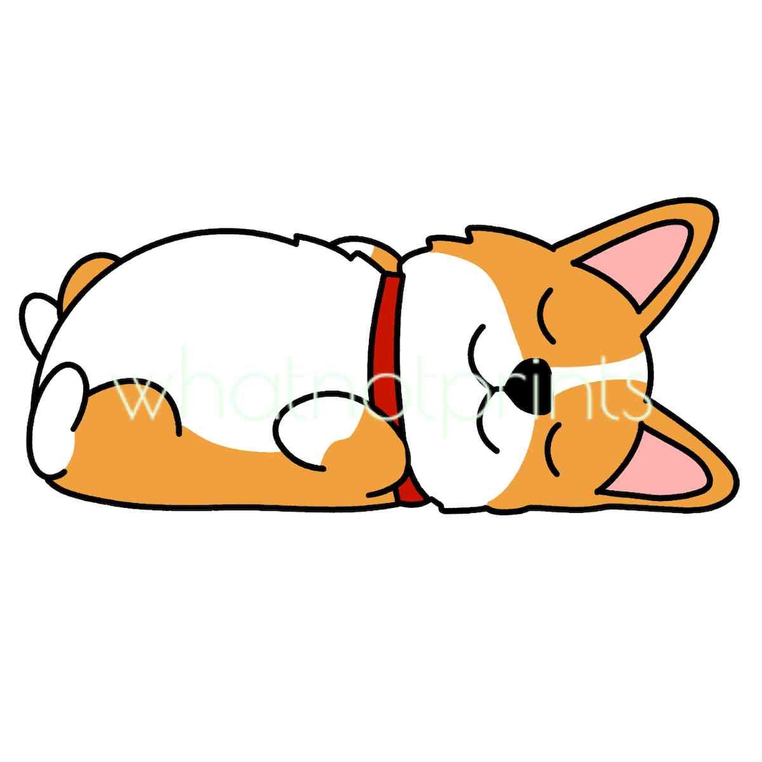 Corgi Sleeping on Its Back PNG Transparent Background Commercial Use OK ...