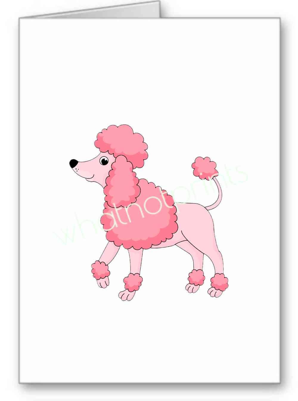 Pink Poodle Drawing Poedel Hond Illustratie Clip Art Gratis
