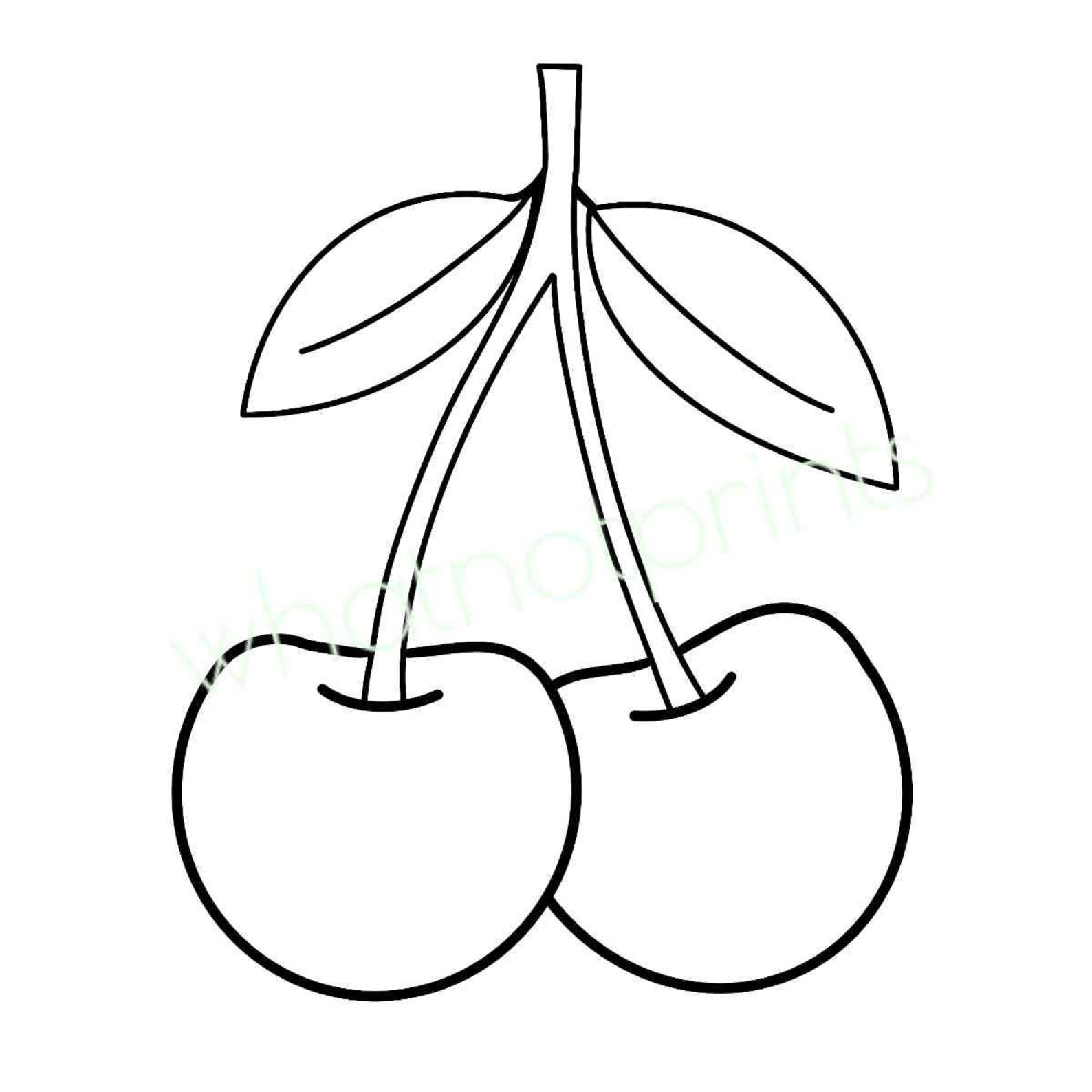 Commercial Cherries Outline Clipart PNG Transparent Background Template ...