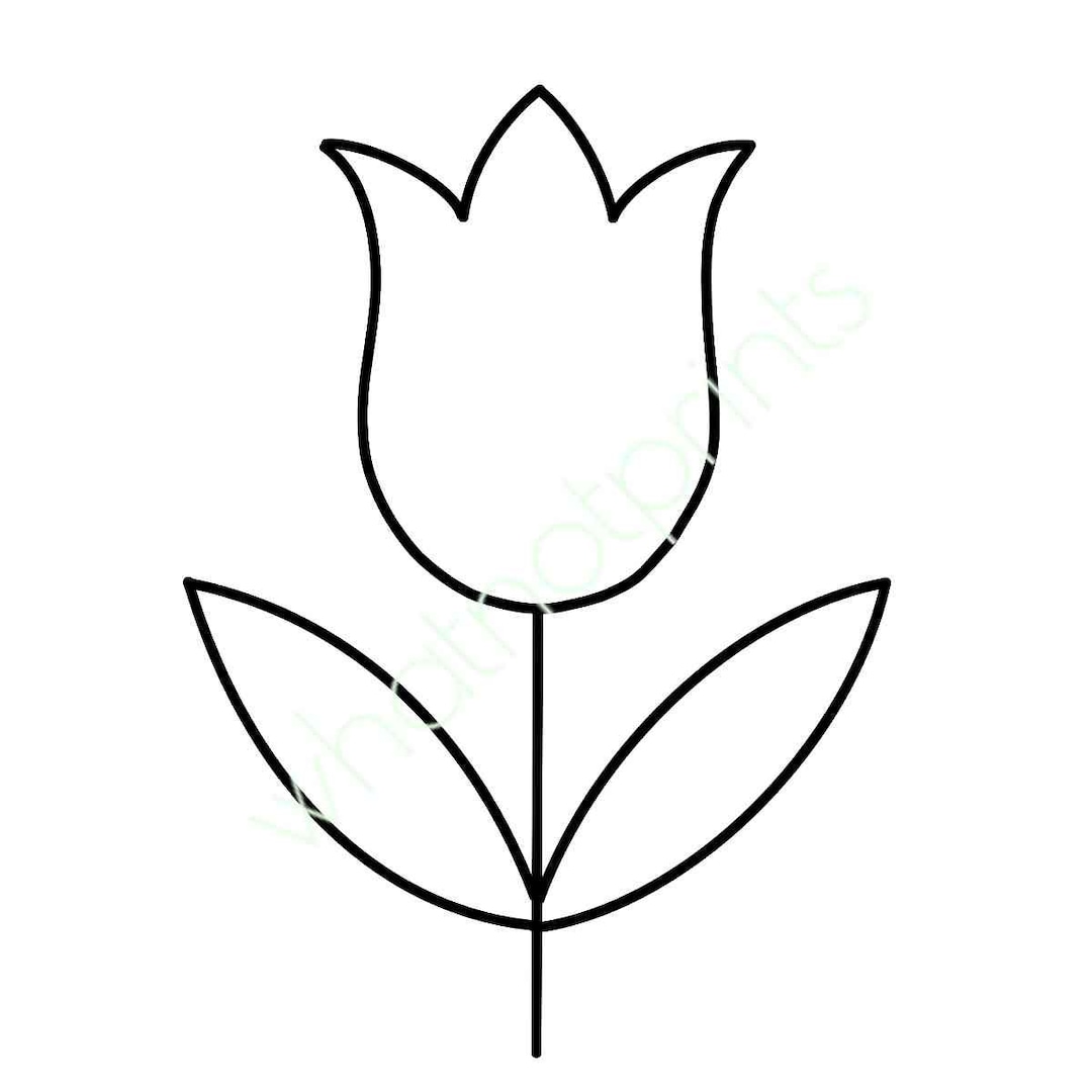 Tulip Outline Clipart: Commercial Use Stencil, PNG & SVG (digital ...