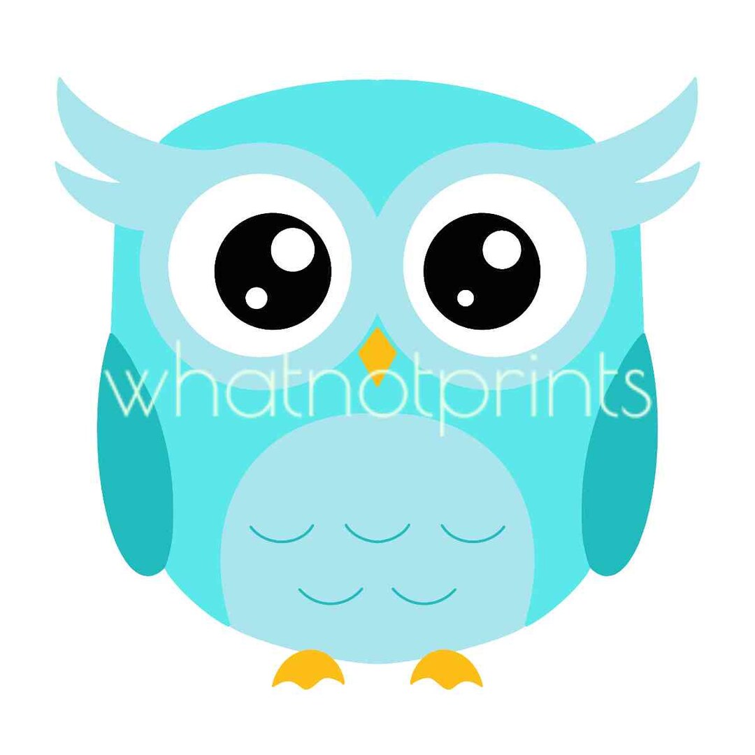 Turquoise Blue Owl PNG Transparent Background Commercial or Personal ...