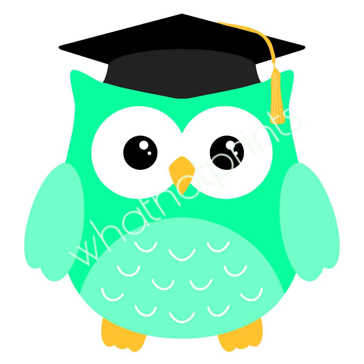 Commercial Owl in Graduation Cap Clipart PNG Transparent Background ...