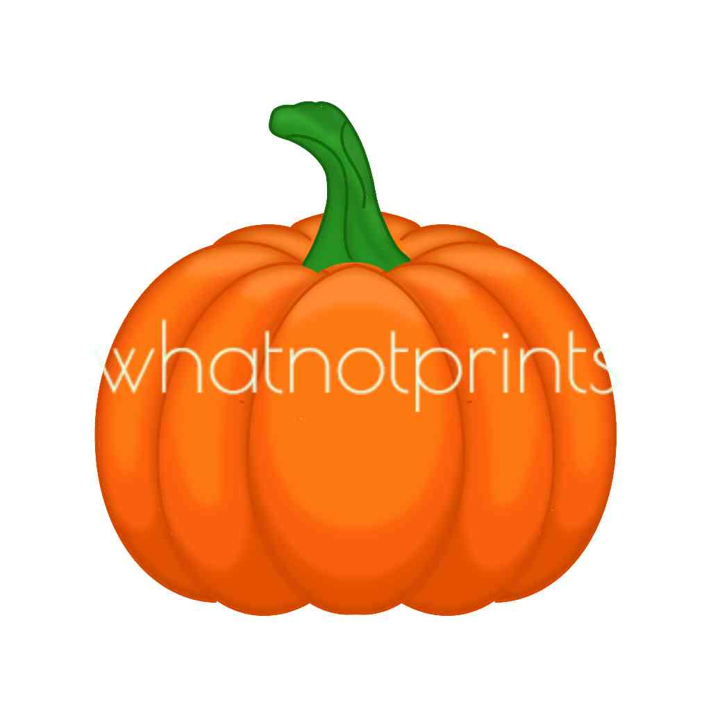 Pumpkin SVG & PNG Transparent Background Commercial Use OK Instant ...