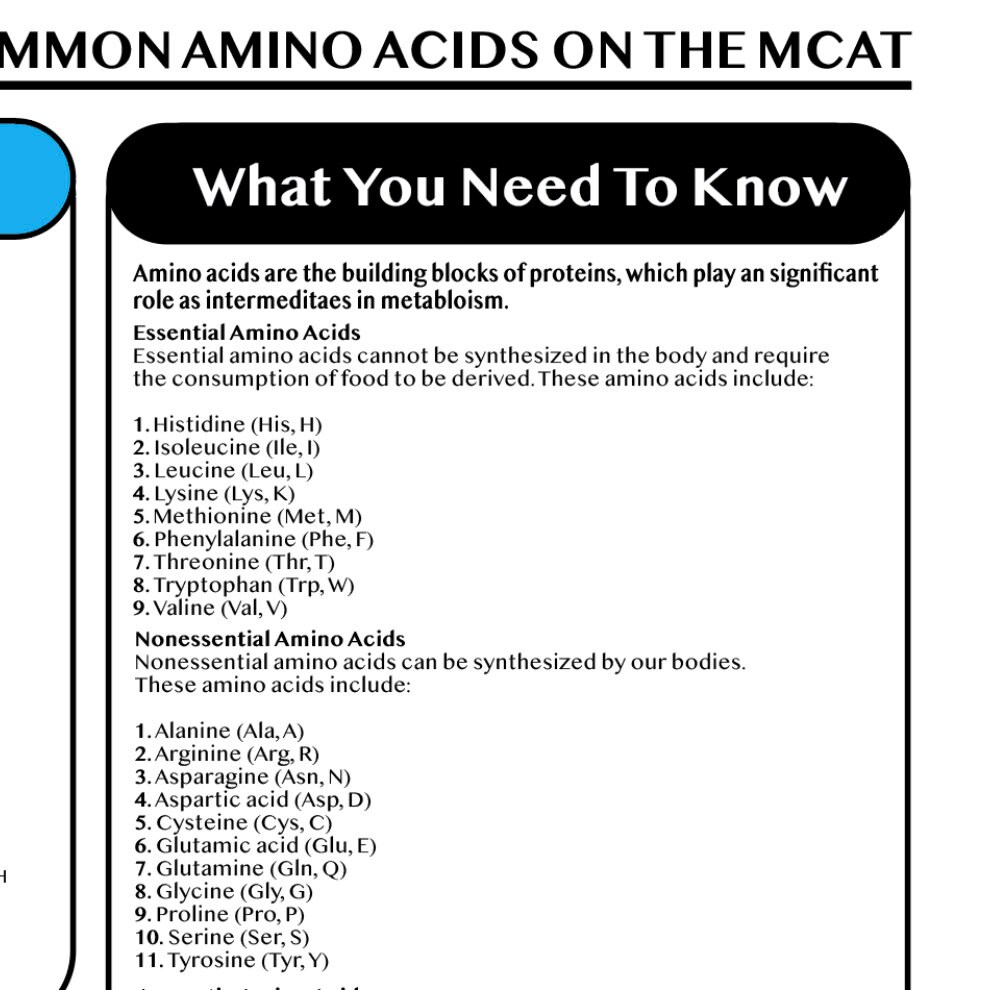 Art & Collectibles Amino Acids Tested on the MCAT Poster *DIGITAL ...
