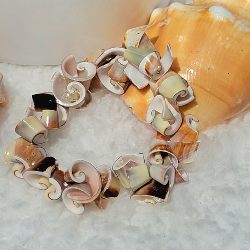 Seashell Bracelet - Etsy