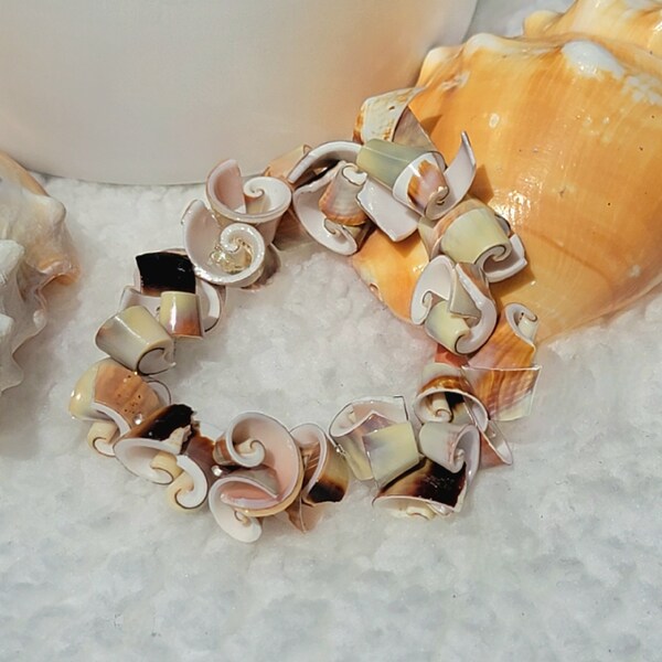 Seashell Bracelet - Etsy