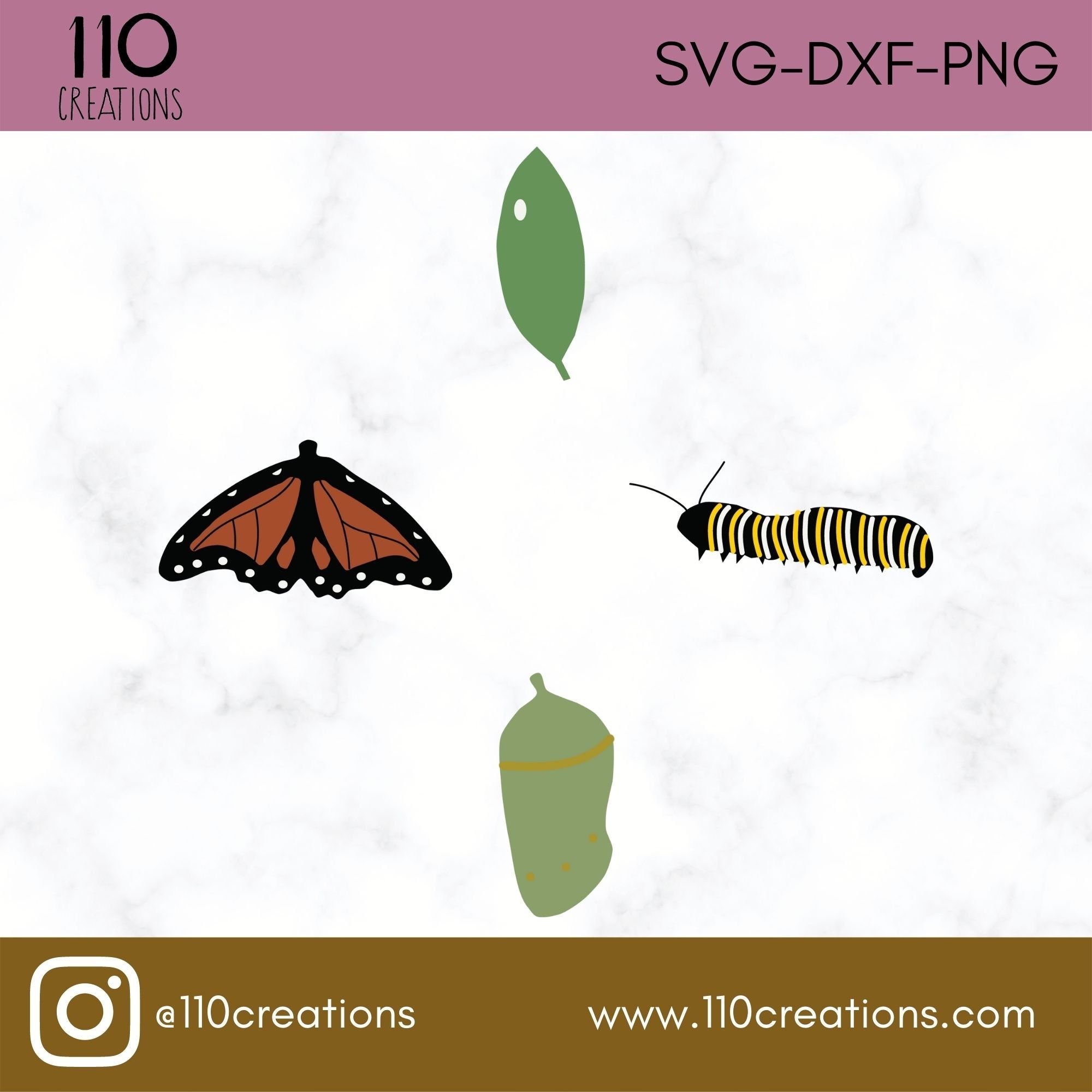 Monarch SVG PNG DXF Monarch Life Cycle Cut File Monarch Butterfly ...