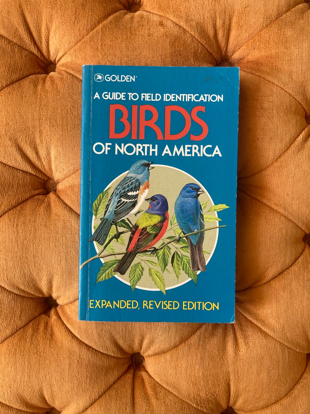 A Guide to Field Identification: Birds of North America Vintage Golden ...