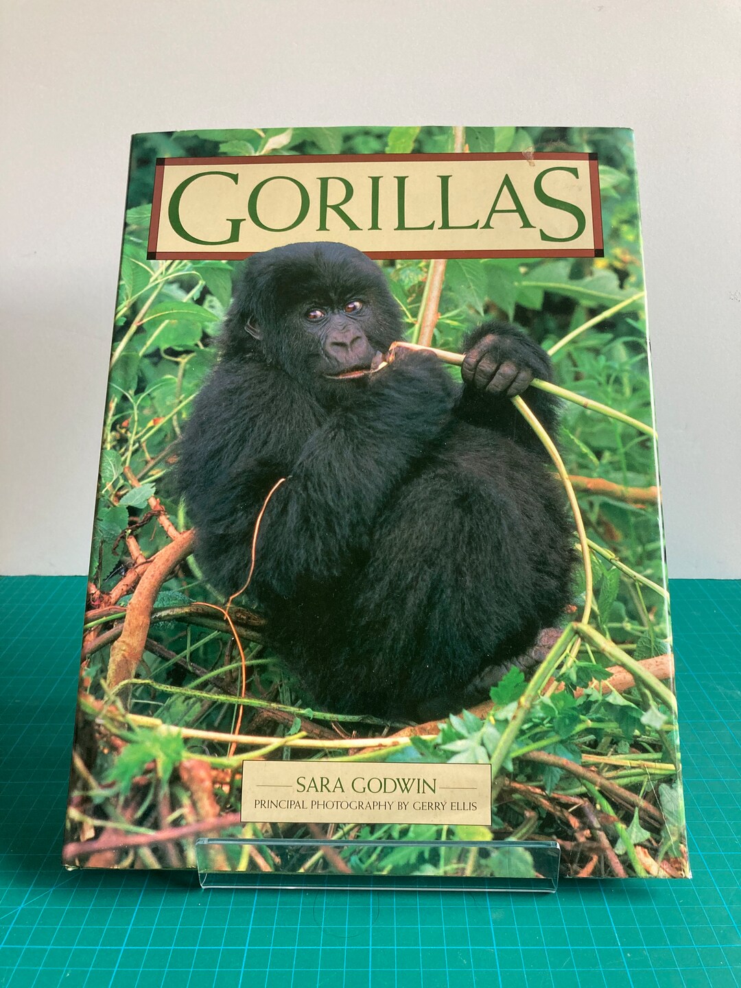 Gorillas by Sara Godwin Published by Mallard Press, 1990 Hardcover - Etsy