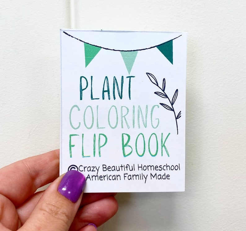 Individual Mini Coloring Flip Book Set, Coloring Books for Kids ...