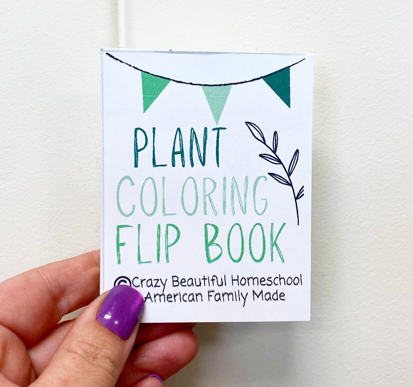 Individual Mini Coloring Flip Book Set, Coloring Books for Kids ...