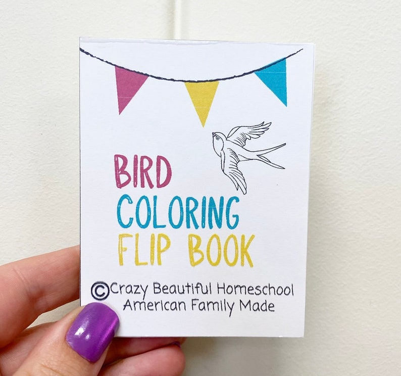 Individual Mini Coloring Flip Book Set, Coloring Books for Kids ...