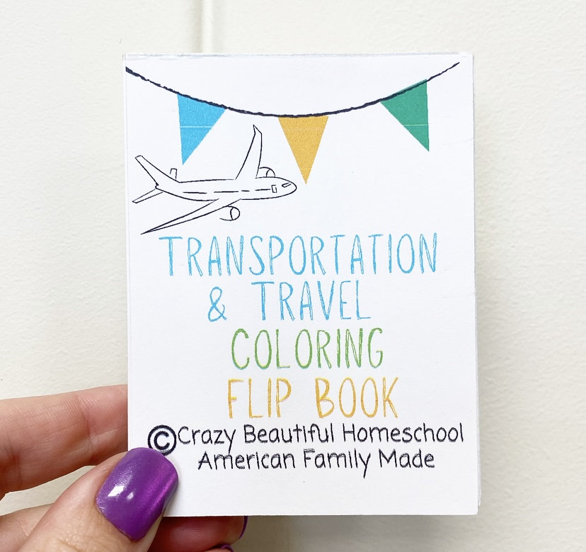 Individual Mini Coloring Flip Book Set, Coloring Books for Kids ...