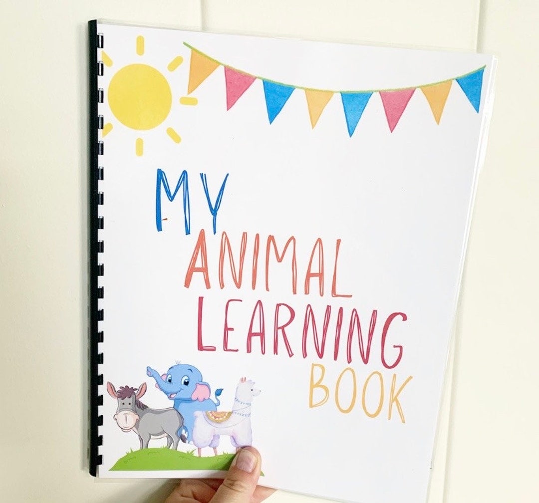 Learning Binder for Kids, Preschool Learning Binder, Toddler Learning ...