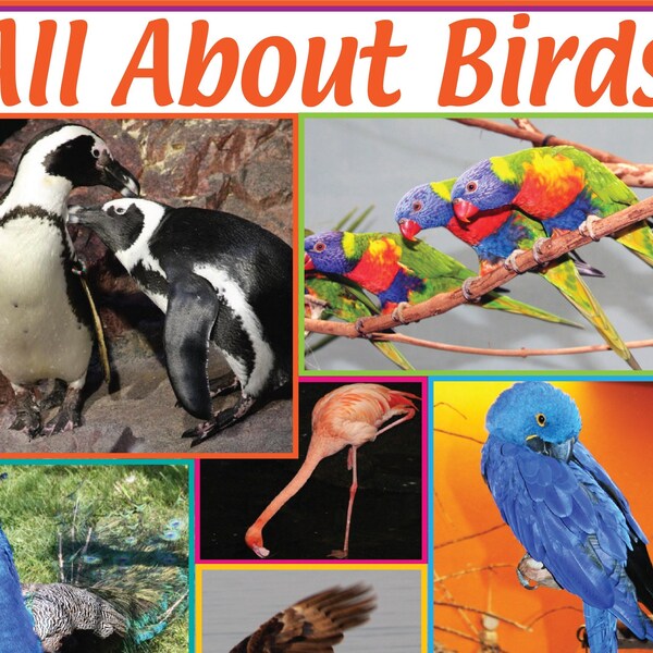 Ocean Invertebrates Printable Activity Set and Word Search Puzzle - Etsy