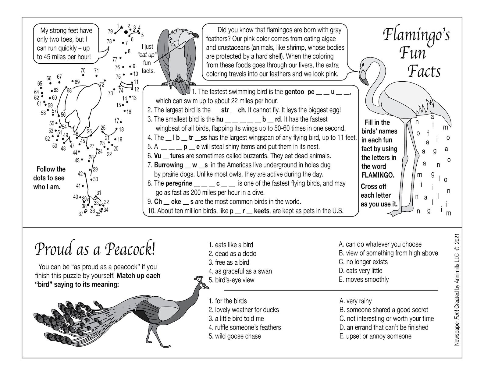 All About Birds Printable Puzzle Bundle Facts, Adaptations and ...