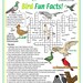 All About Birds – Printable Puzzle Bundle – Facts, Adaptations and ...